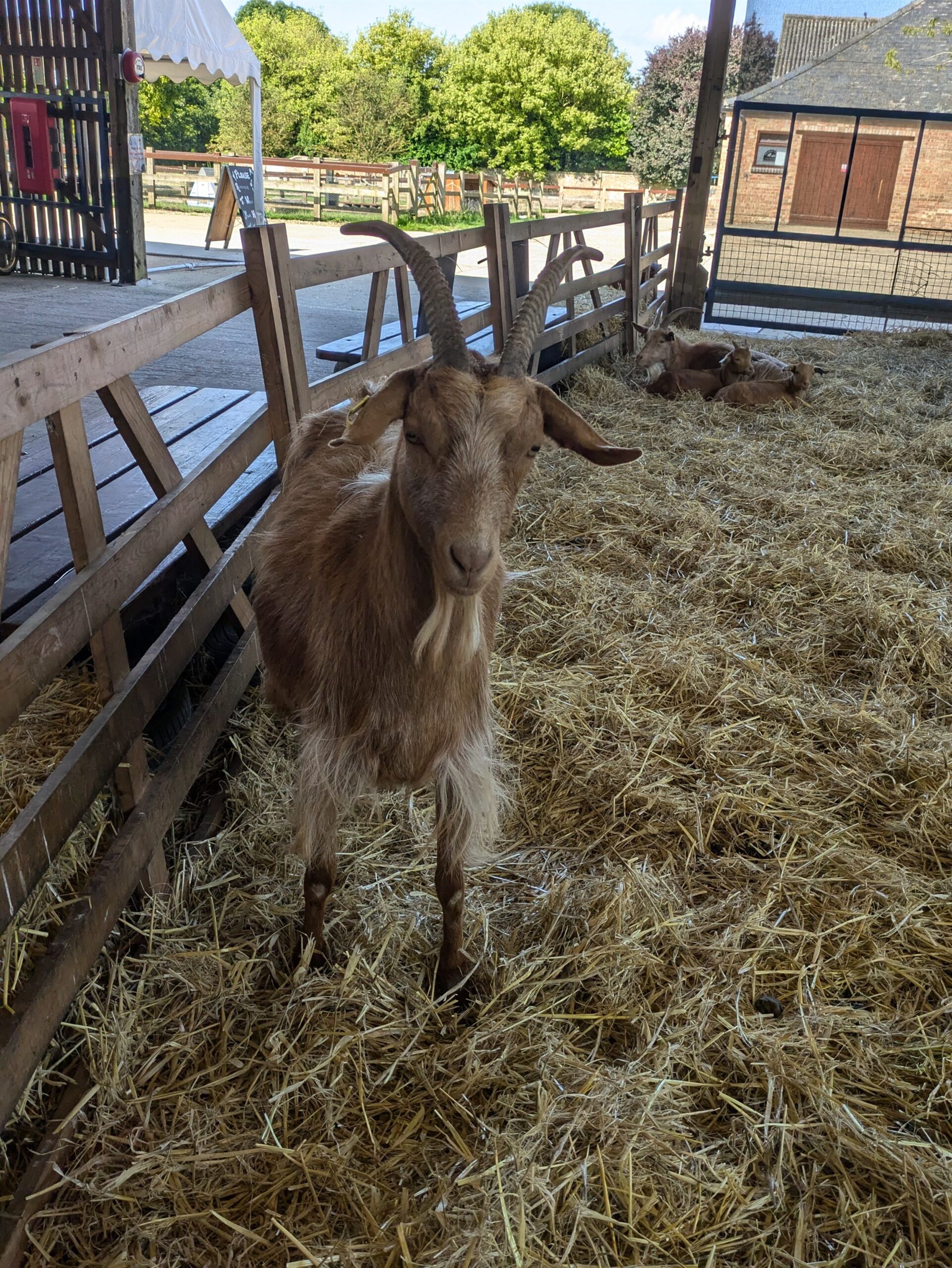 Breeds | Church Farm Stow Bardolph
